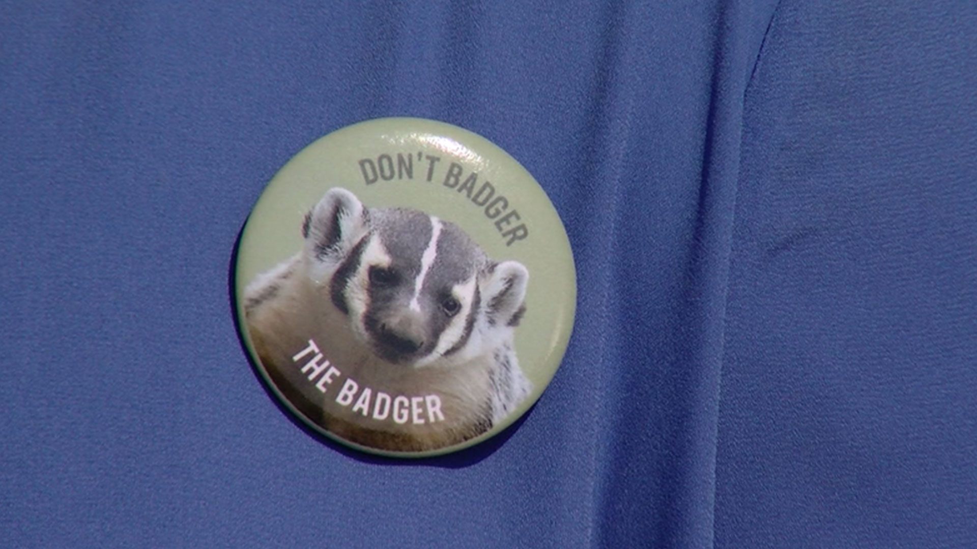 Kamloops Winery Uncorks ‘Don’t Badger the Badger’ Conservation Campaign ...